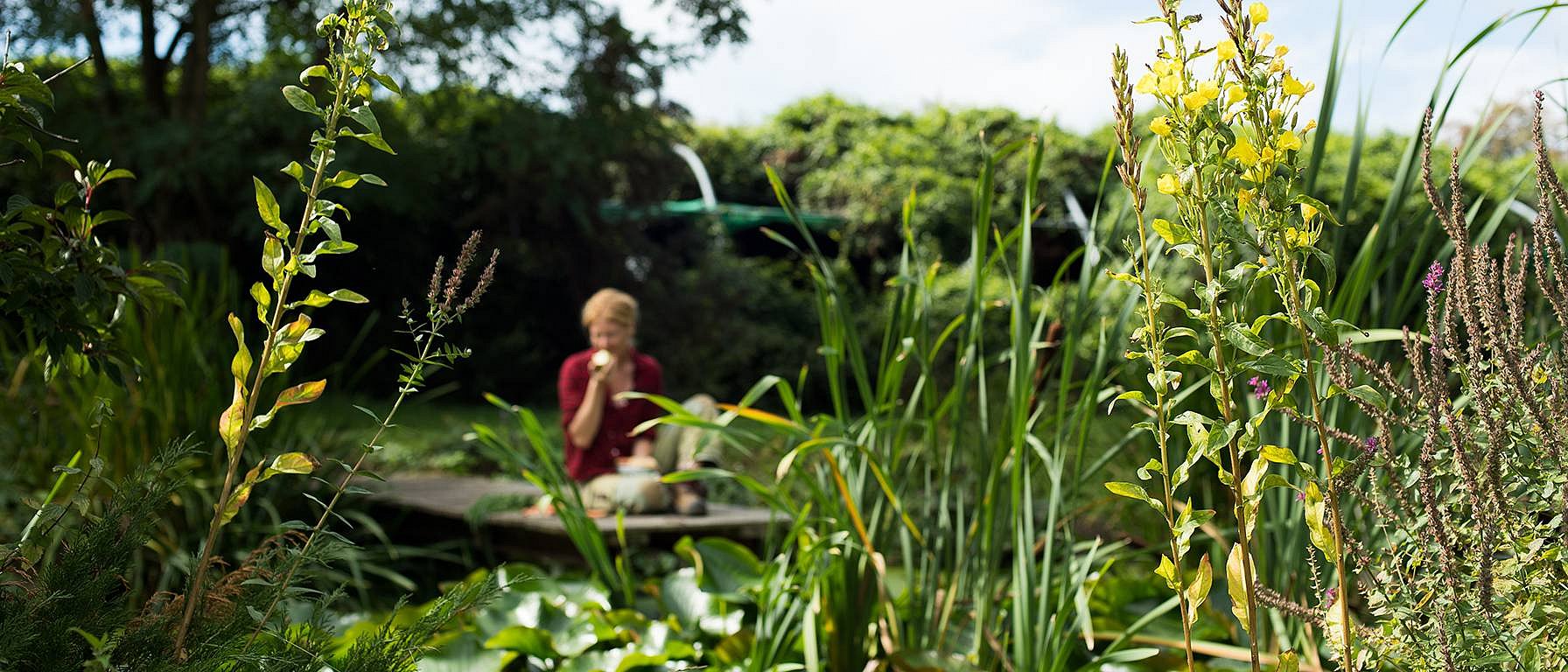 How Weleda supports biodiversity and healthy soils - Weleda