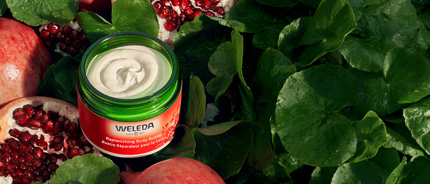 Weleda | Natural Beauty & Holistic Wellness