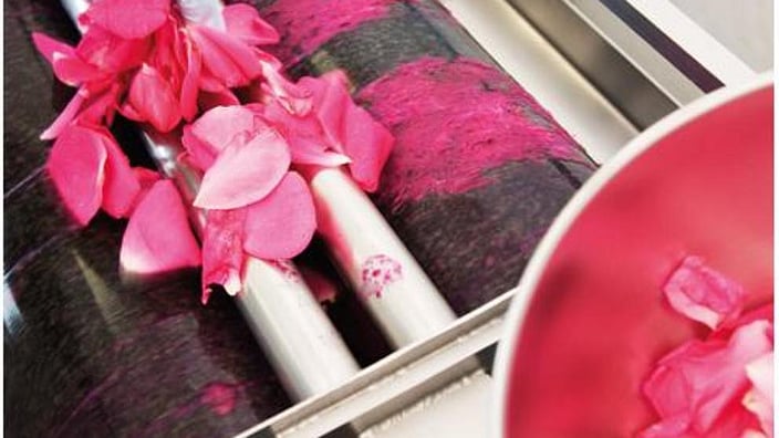 Production | Weleda Natural Skin Care - Weleda