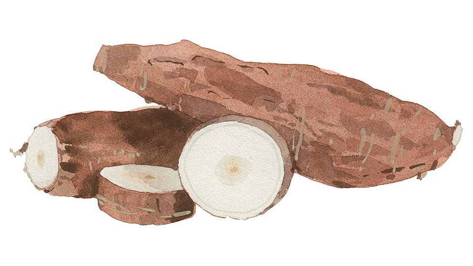 Skin Food Nourishing Body Lotion | Weleda - Weleda