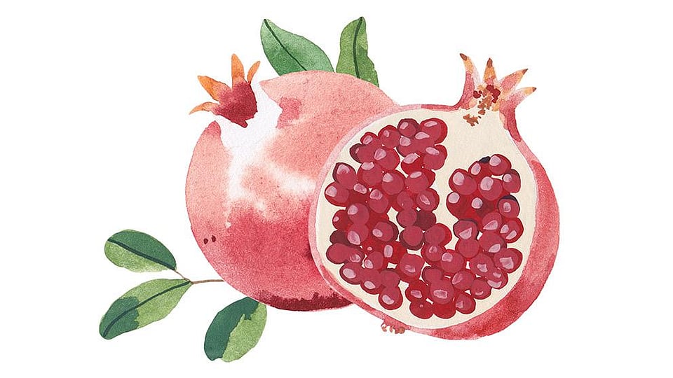 Punica Granatum Pericarp Extract - Weleda