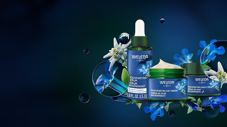 Skin Food Intense Hydration Set | Weleda - Weleda