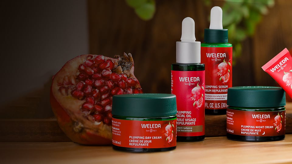 Skin Food Experience | Weleda Skin Care - Weleda